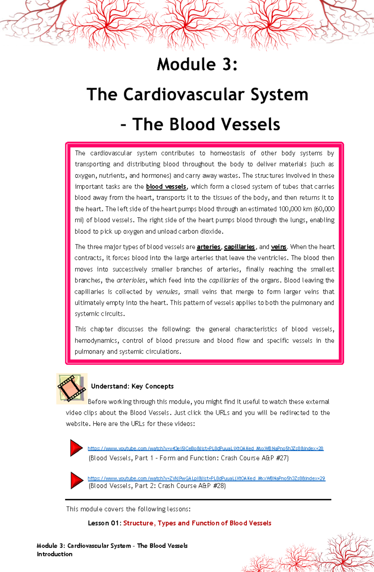 NUMC 101B Module 3 Introduction - Module 3: Cardiovascular System – The ...