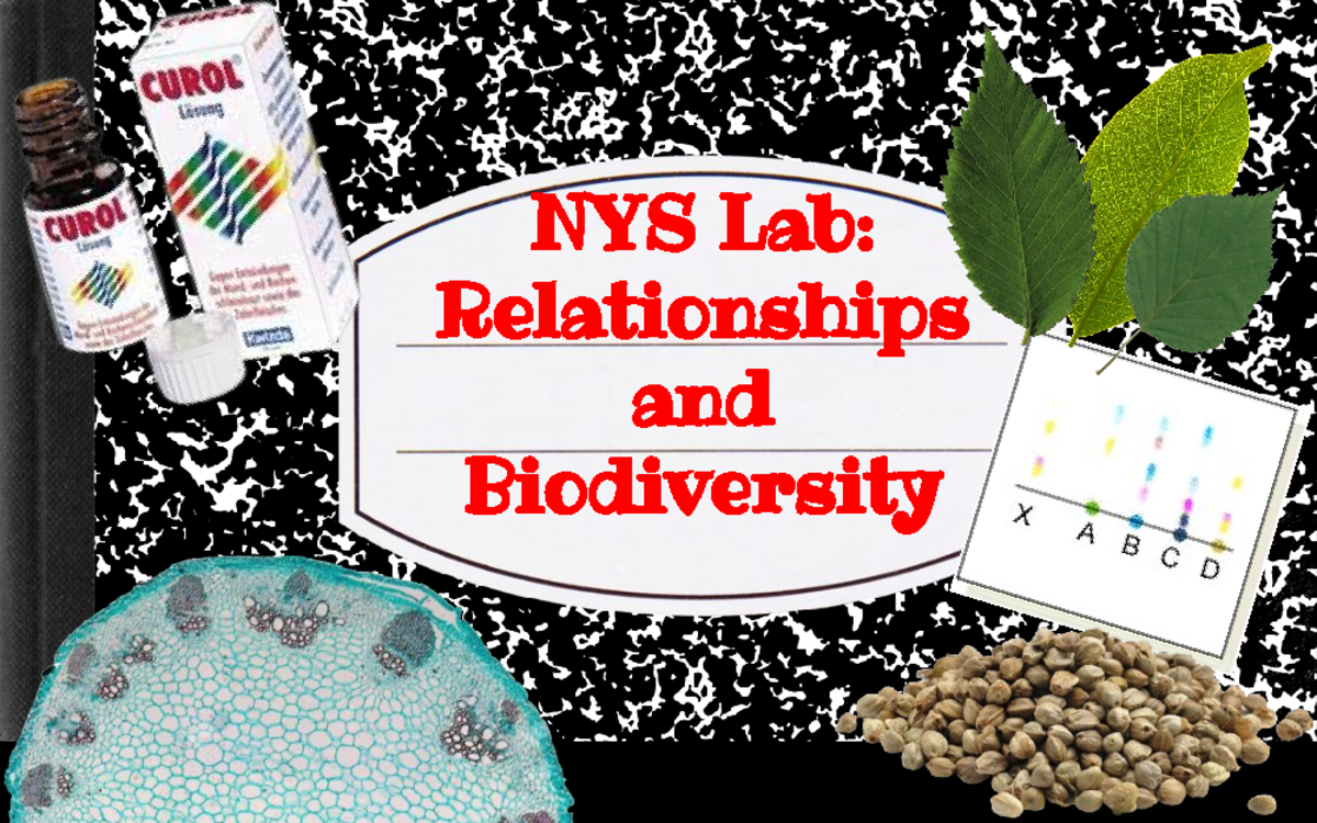 Lab - Relationships and Biodiversity Student Virtual - NYS Lab ...