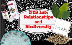 Kami Export - Mental Disorders Burns - Brain/Mental Disorders Burns ...