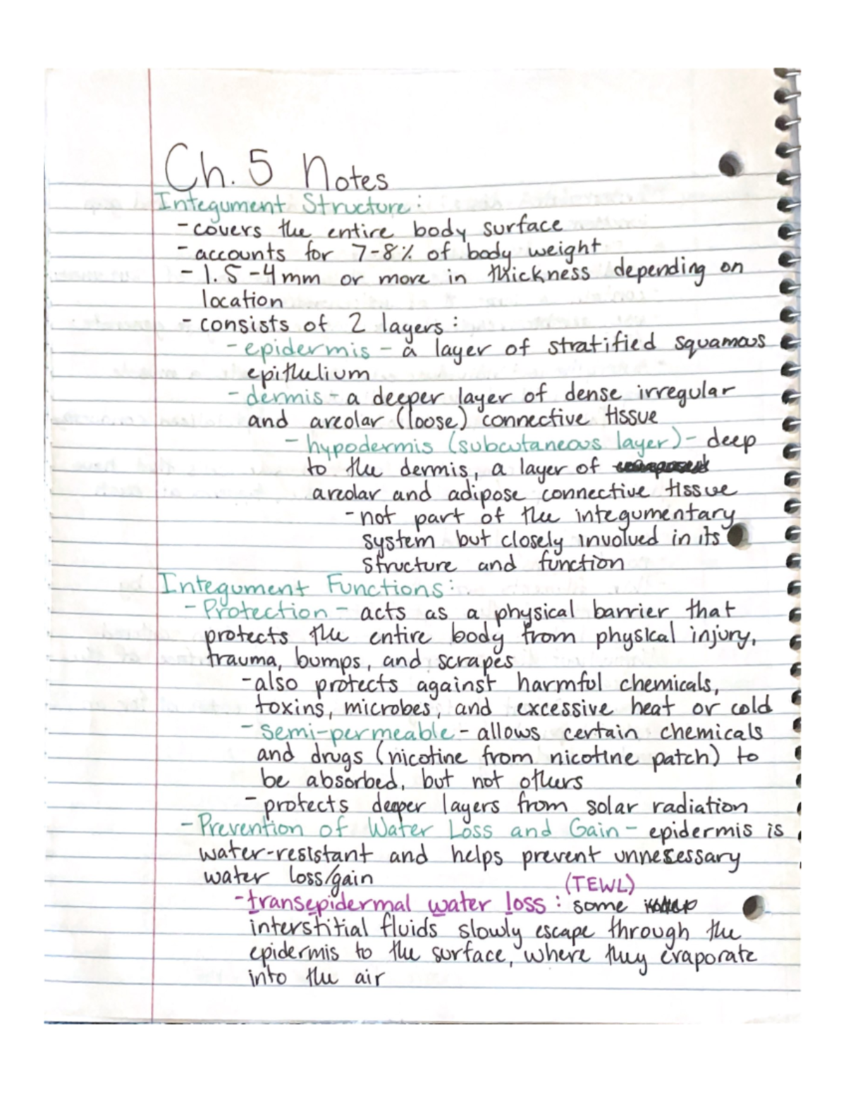 Chapter 5 Notes - In depth summary I note form, derived from the ...