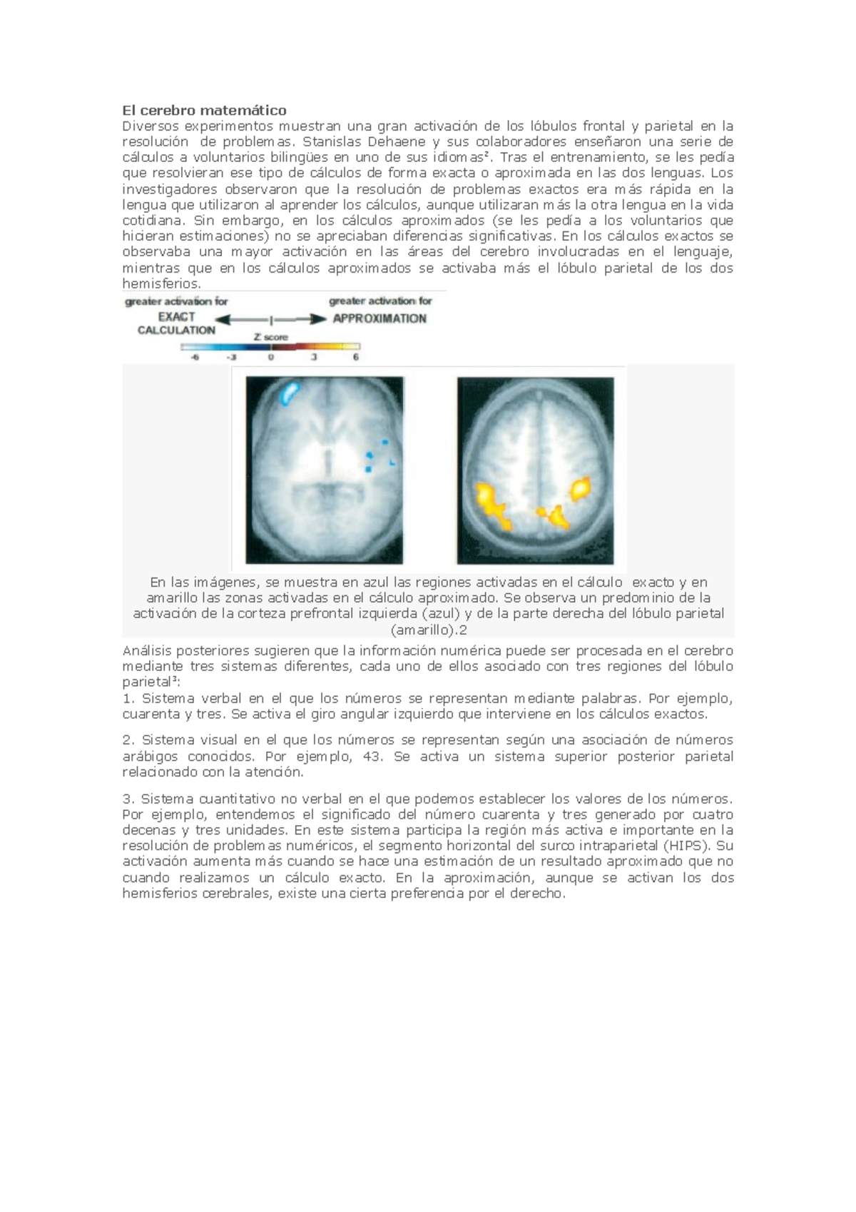 El cerebro matemático - El cerebro matemático Diversos experimentos ...