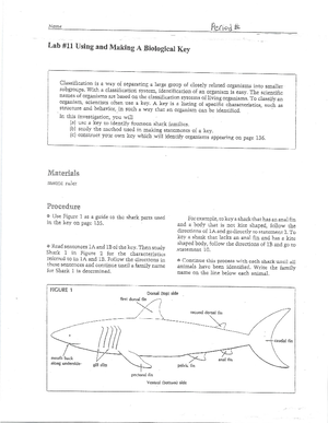 Lab 3- Homework - Lab worksheets - Name:__________________________ 1 ...