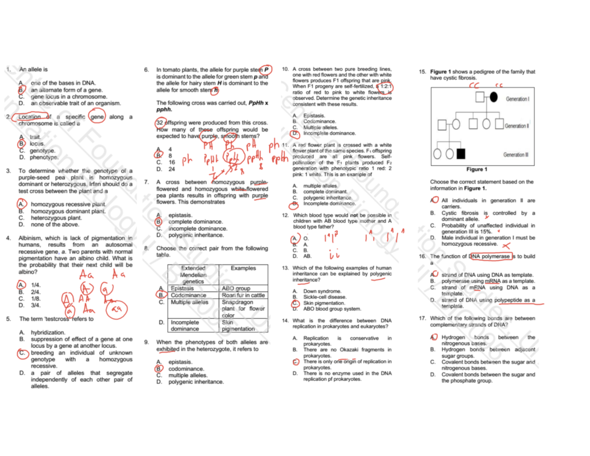 Copy of S37 Chapter 1 Genetic Inheritance Genetic Control - Foundation ...