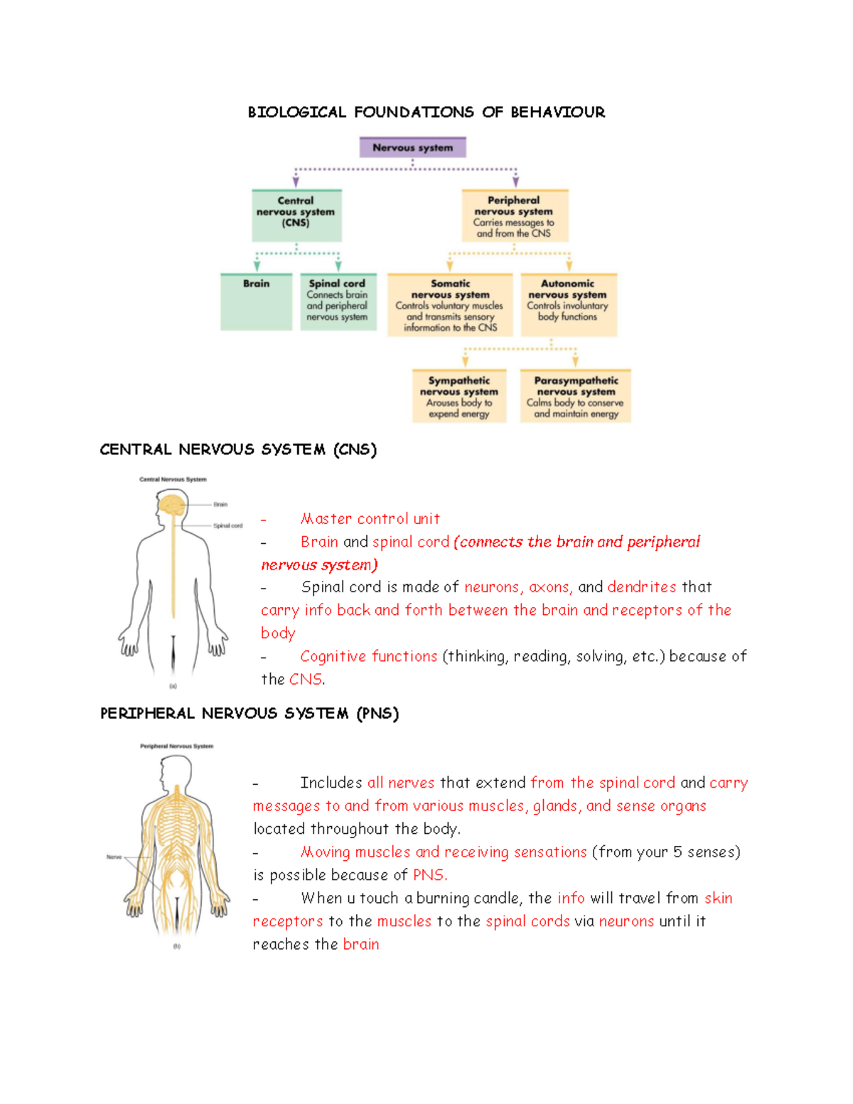 Biological Foundations OF Behaviour Notes - BIOLOGICAL FOUNDATIONS OF ...