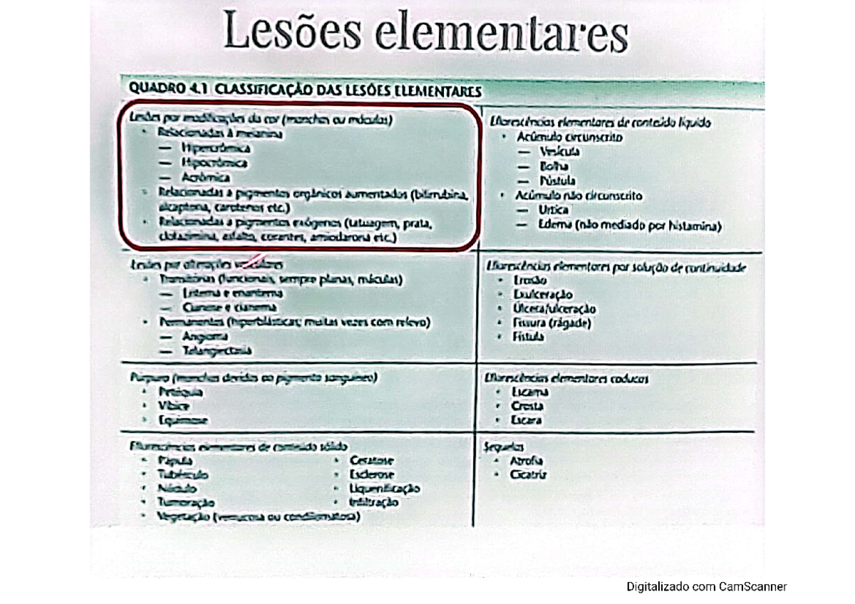Lesões Elementares - Dermatologia - Studocu