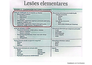 Lesões Elementares - “Acredite na beleza de seus sonhos!!! DERMATOLOGIA ...