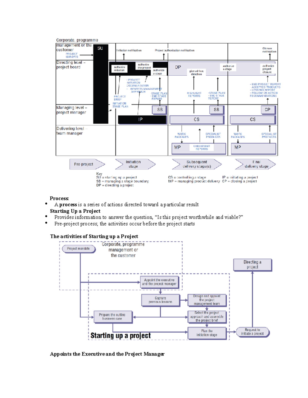 PMO201 Lecture 4 - Process: A process is a series of actions directed toward a particular result ...