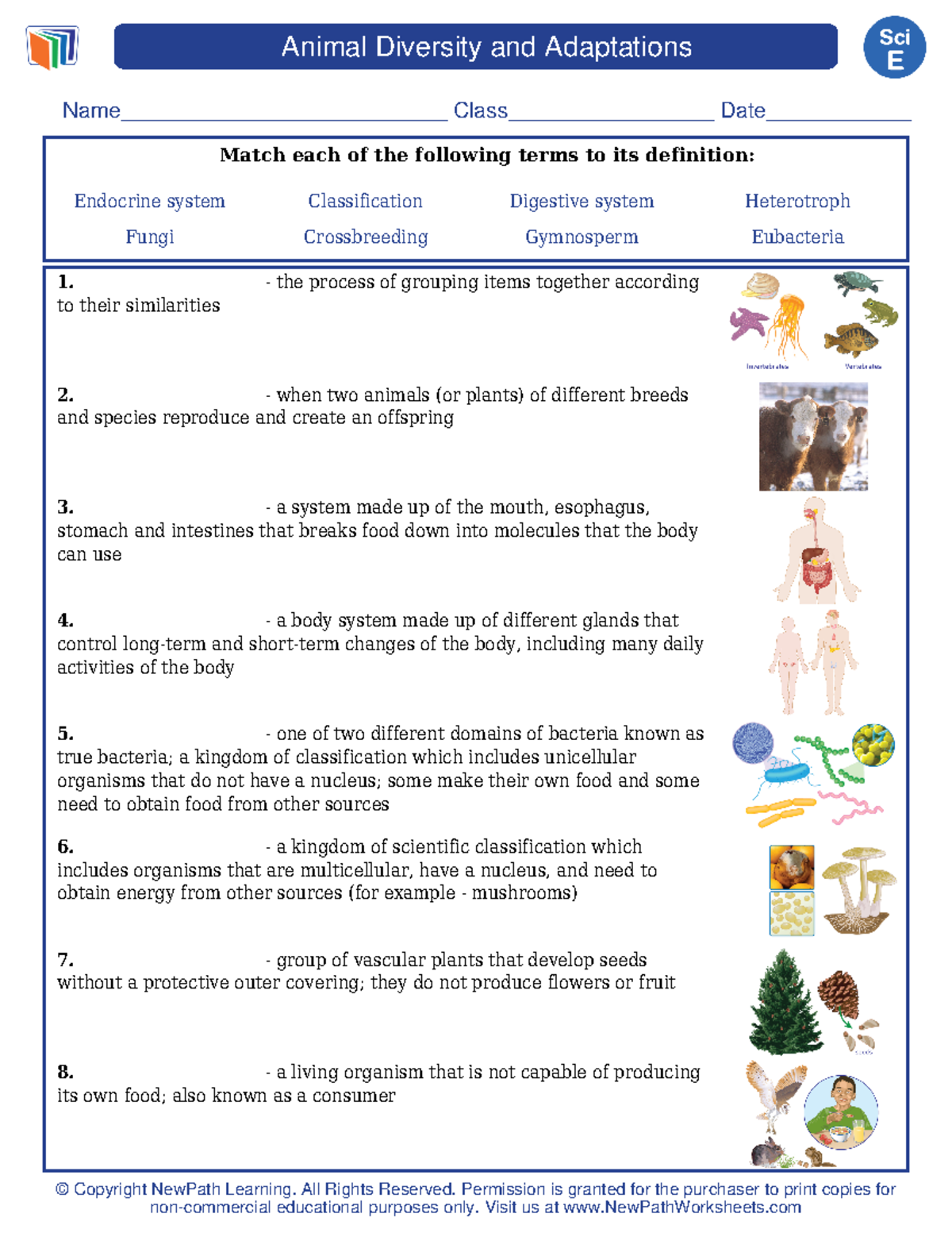 Vocabulary science grade 5 animal diversity and adaptations 2 - Animal ...
