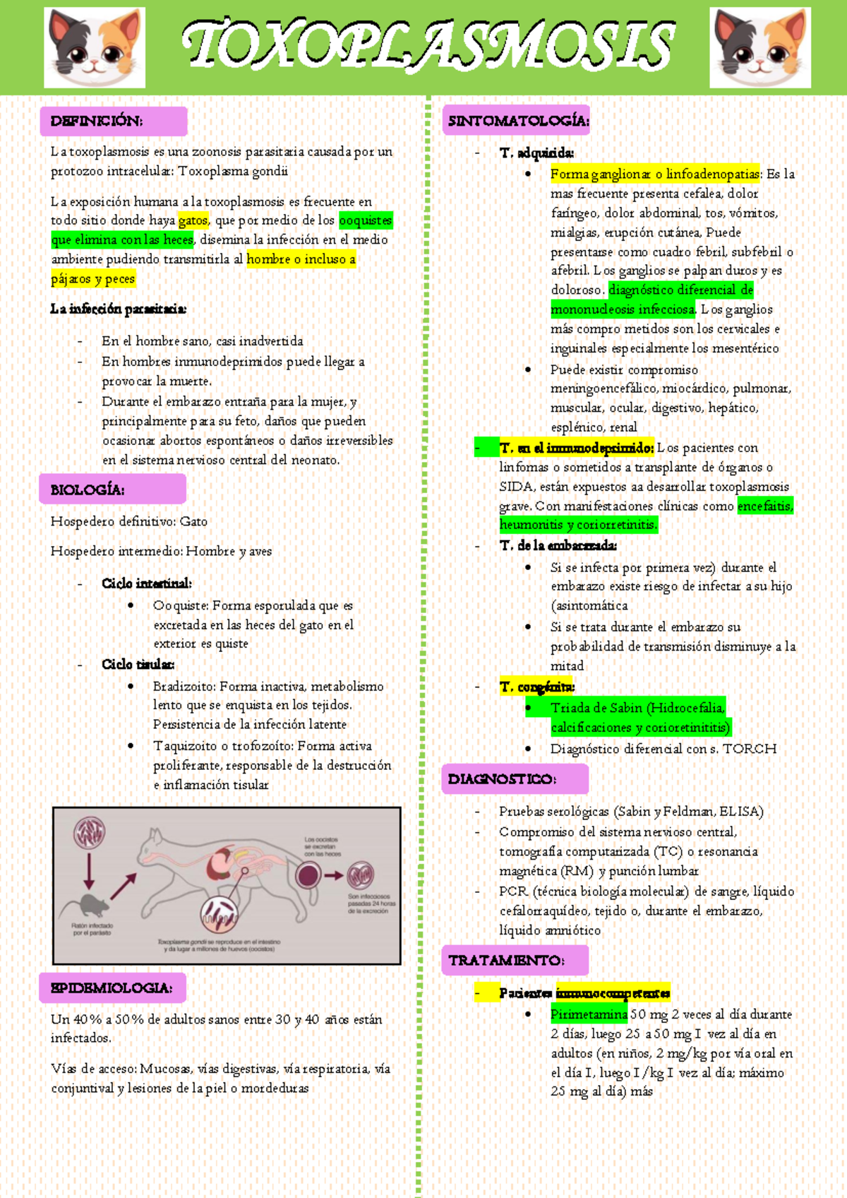 Toxoplasmosis - Resumen Parasitología - DEFINICIÓN: La toxoplasmosis es ...