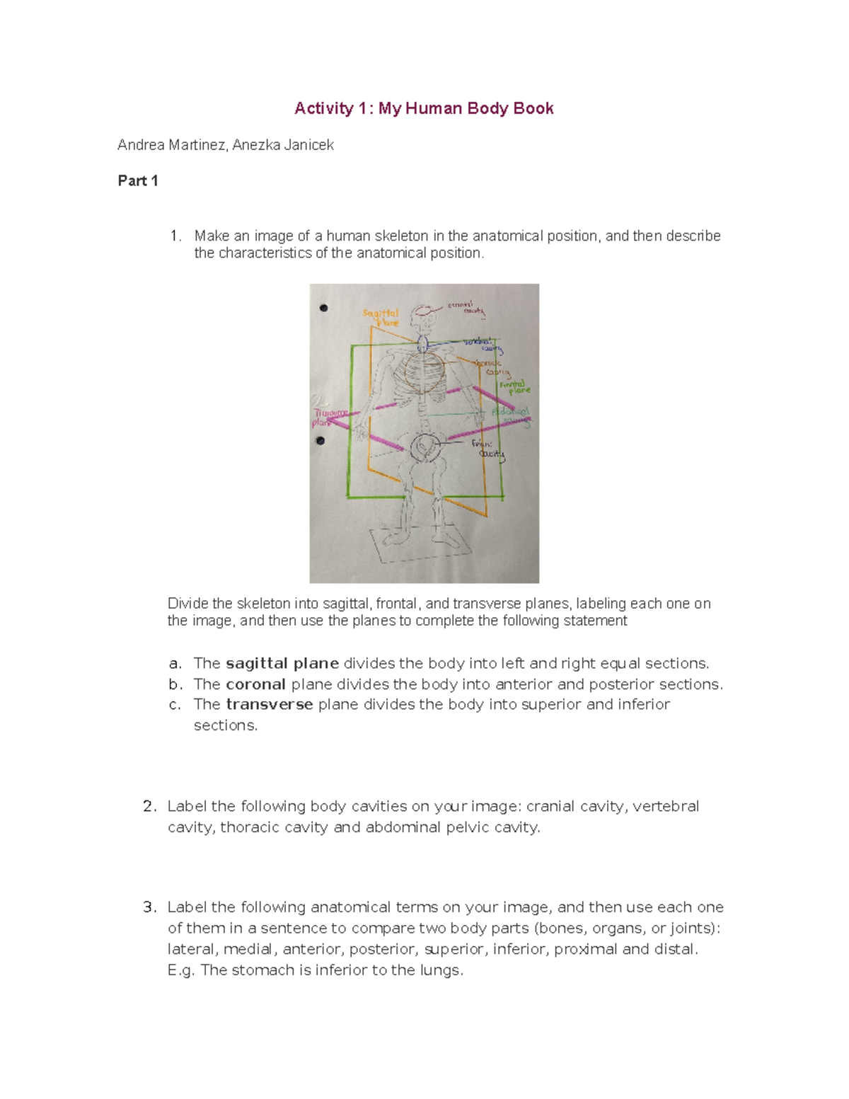 Activity 1 human body care - Activity 1: My Human Body Book Andrea ...
