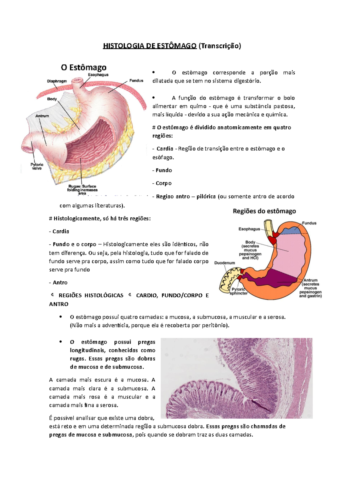 O Que é Hematina No Estômago - RETOEDU