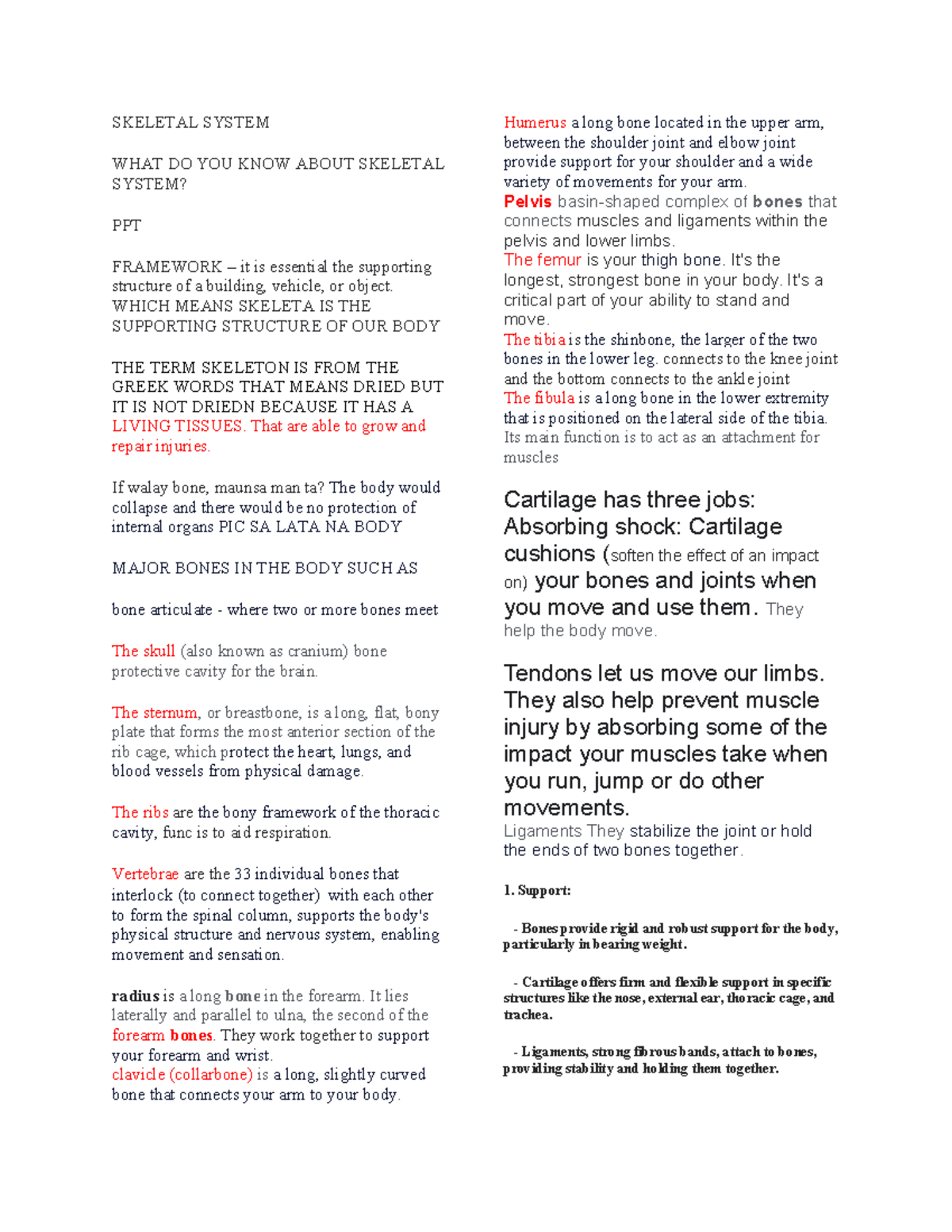 Skeletal System - SKELETAL SYSTEM WHAT DO YOU KNOW ABOUT SKELETAL ...