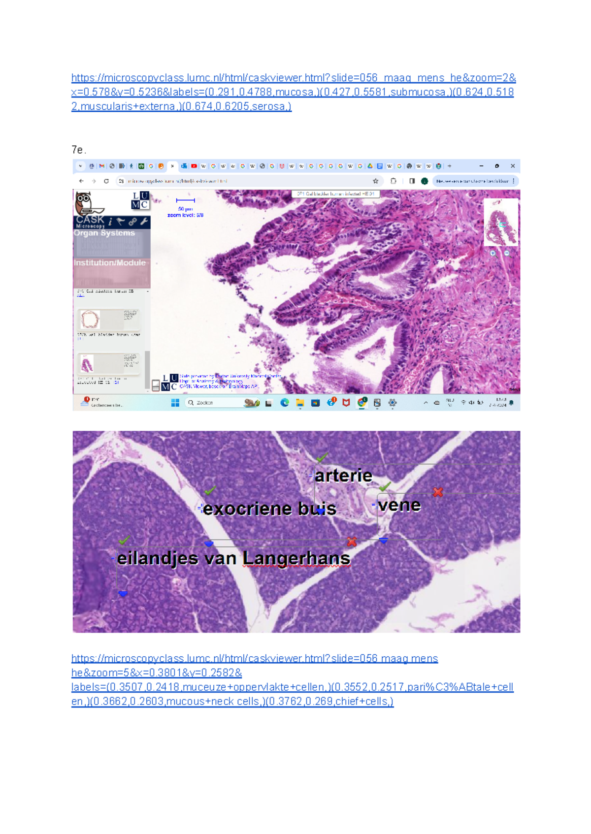 Opdracht Werkcollege microscopie - Sturing en stofwisseling - - Studeersnel