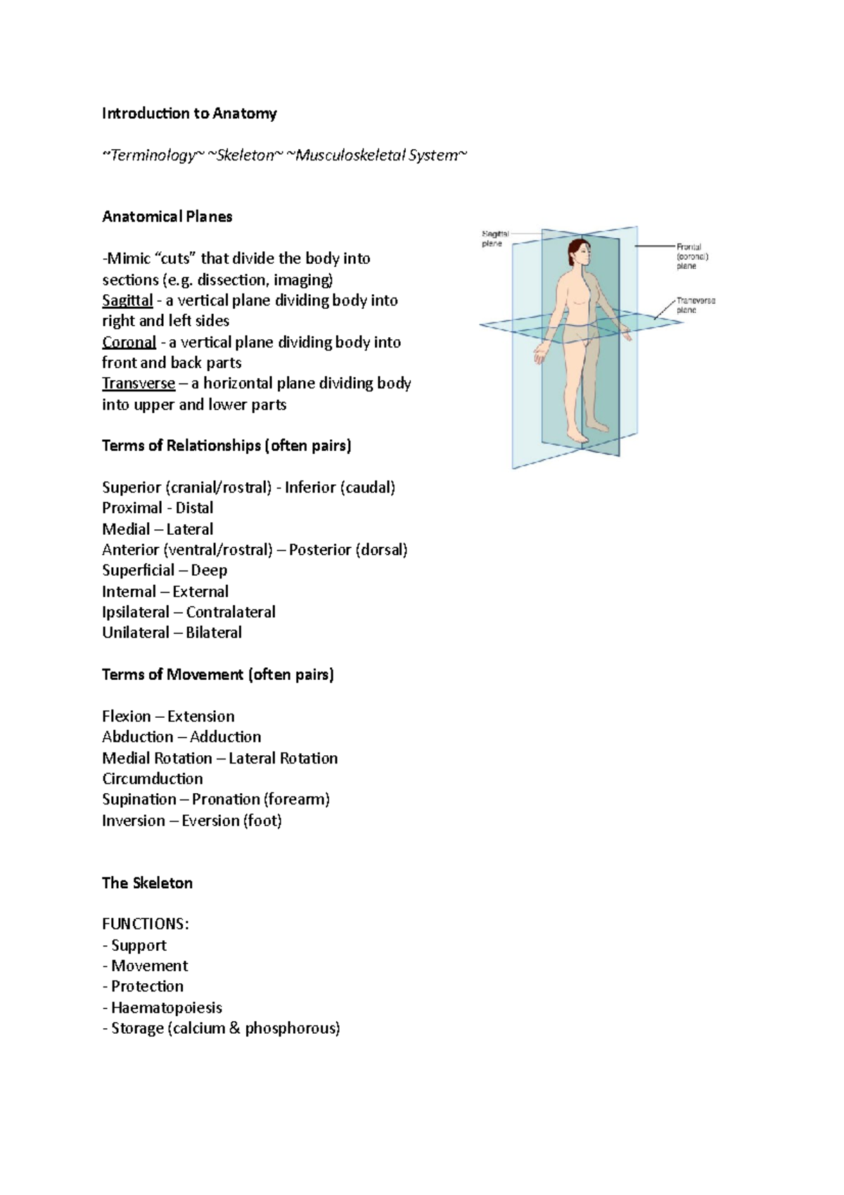 Intro to anatomy L1 - lecture 1 - Introduction to Anatomy Terminology ...