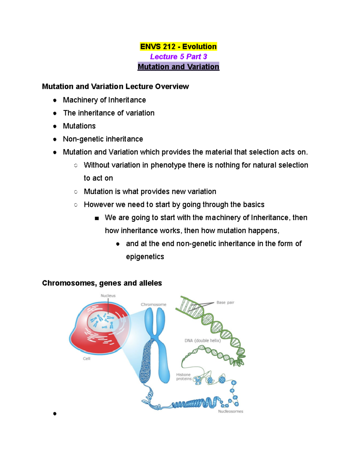 ENVS 212 Lecture 5 Part 3 - Spring 2020 - ENVS 212 - Evolution Lecture 5 Part 3 Mutation and ...