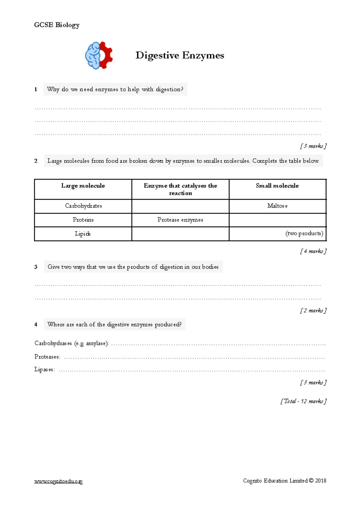 GCSE Biology Digestive Enzymes Worksheet - GCSE Biology Digestive ...