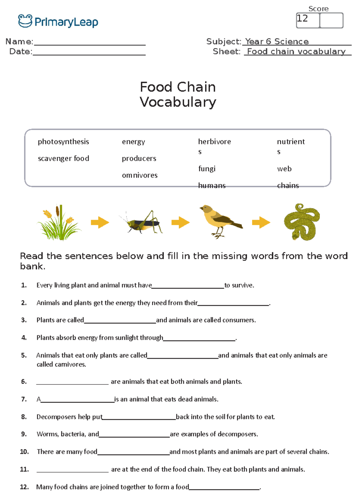 Food chain worksheet - photosynthesis scavenger food energy producers ...