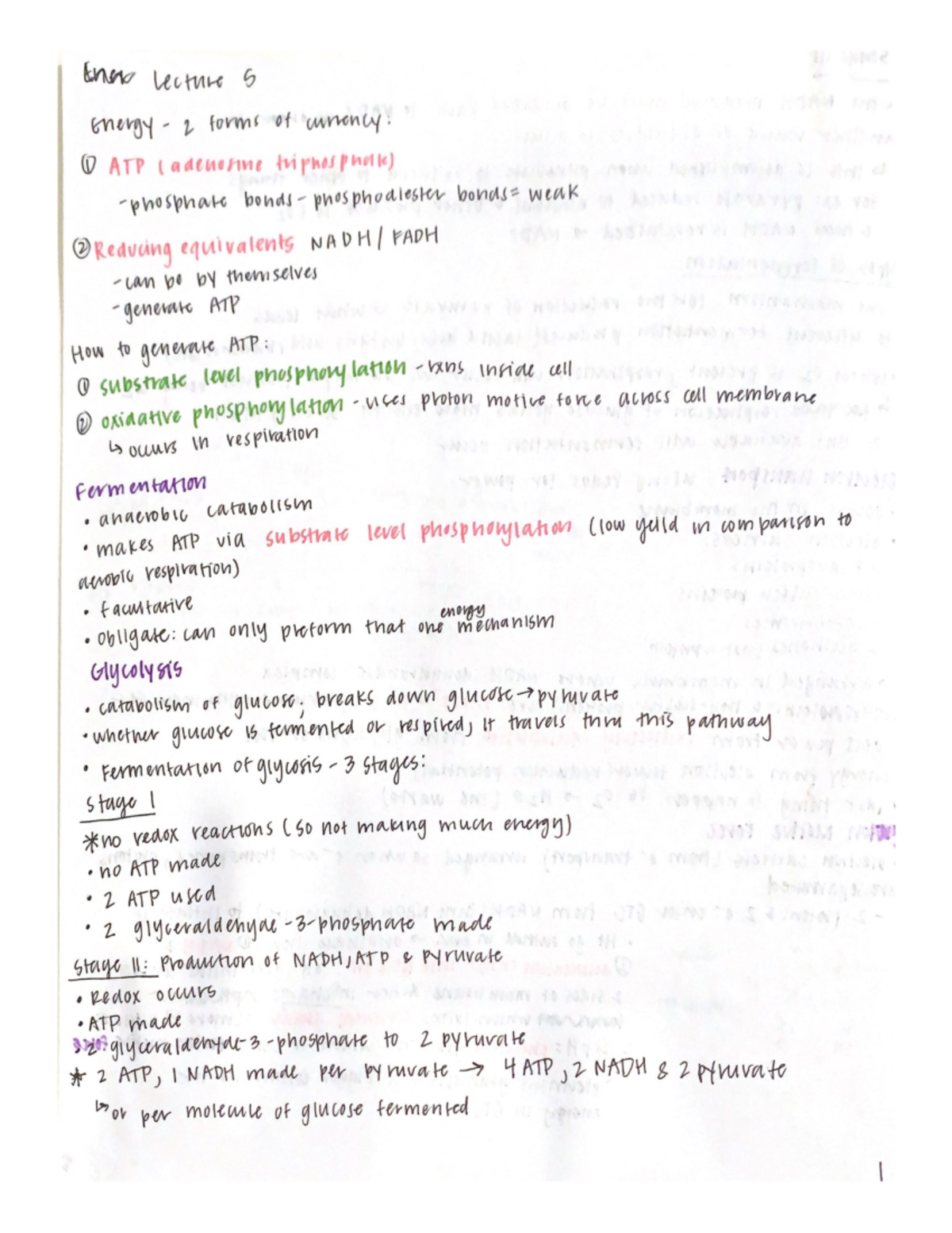 Bisc 333 Lectures 5-6 - Bisc 333 - Studocu