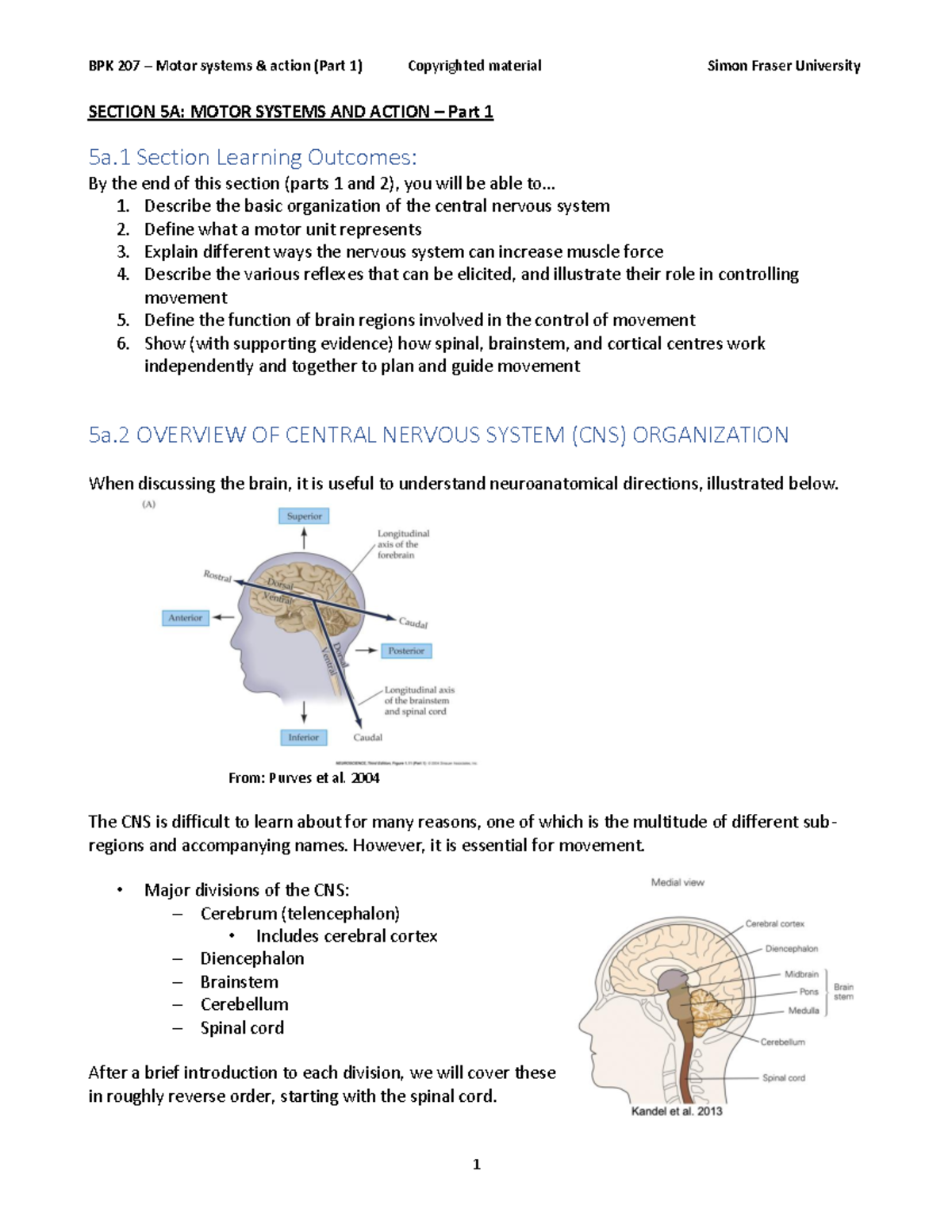 BPK207 Section 5a Motor systems and action v4 - SECTION 5 A: MOTOR SYSTEMS AND ACTION – Part 1 ...
