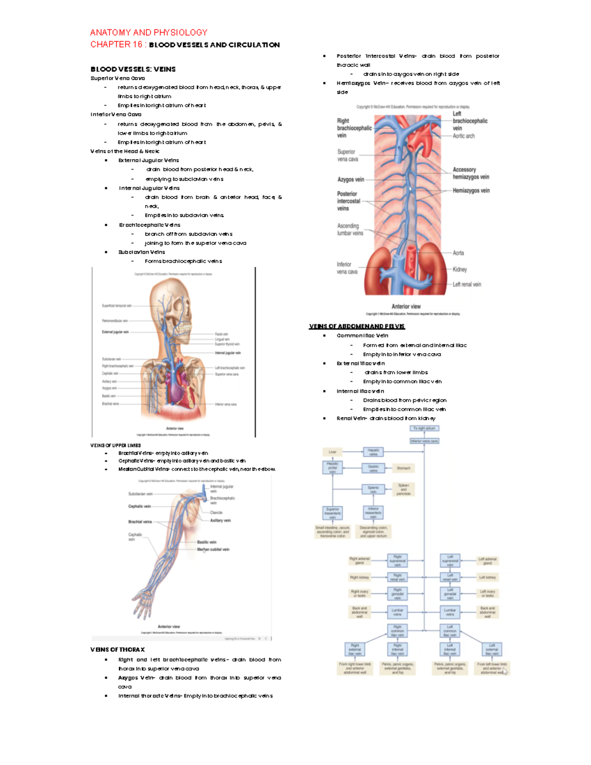 Anaphy- Blood Vessels AND Circulation Notes - ANATOMY AND PHYSIOLOGY ...