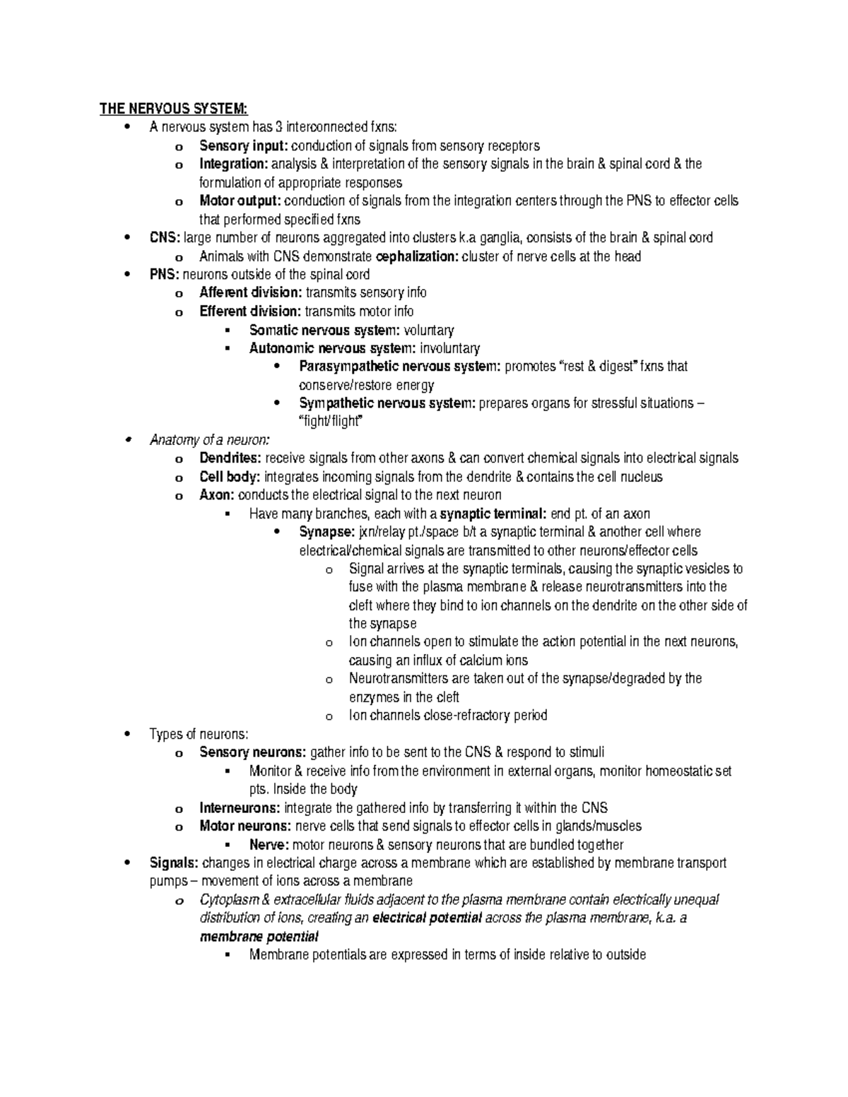 The nervous system - lecture summary - THE NERVOUS SYSTEM: A nervous ...