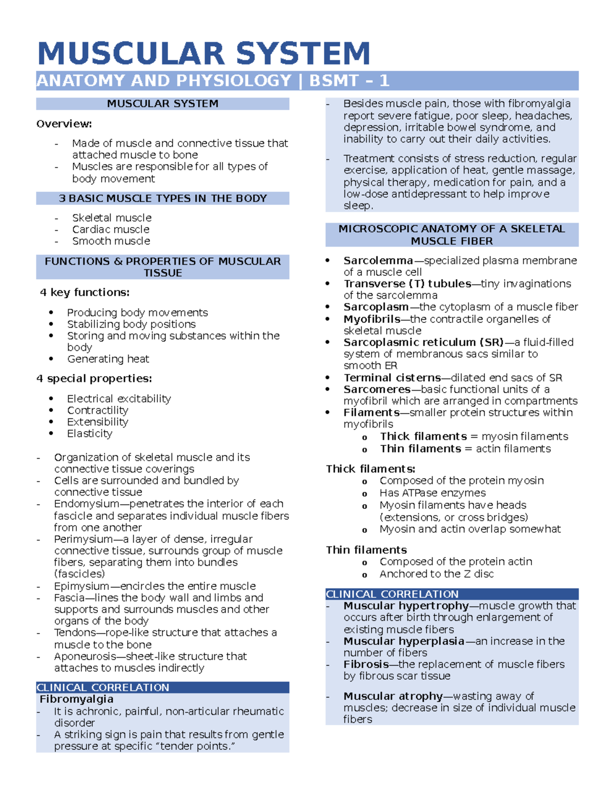 Muscular- System - notes - MUSCULAR SYSTEM ANATOMY AND PHYSIOLOGY ...