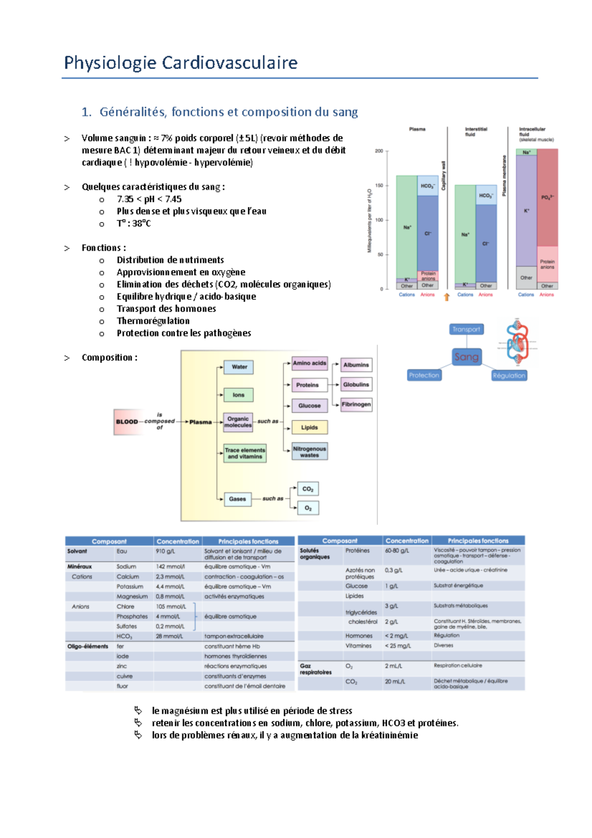 Physiologie cardiovasculaire - Généralités, fonctions et composition du ...