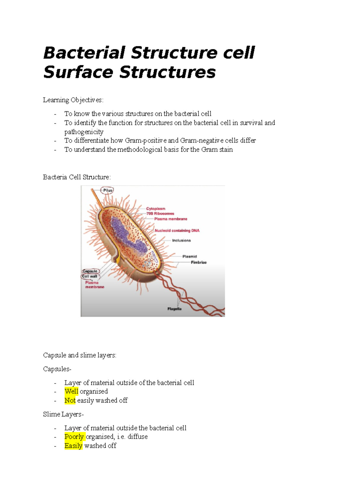 Bacterial Structure cell Surface Structures - Bacterial Structure cell ...