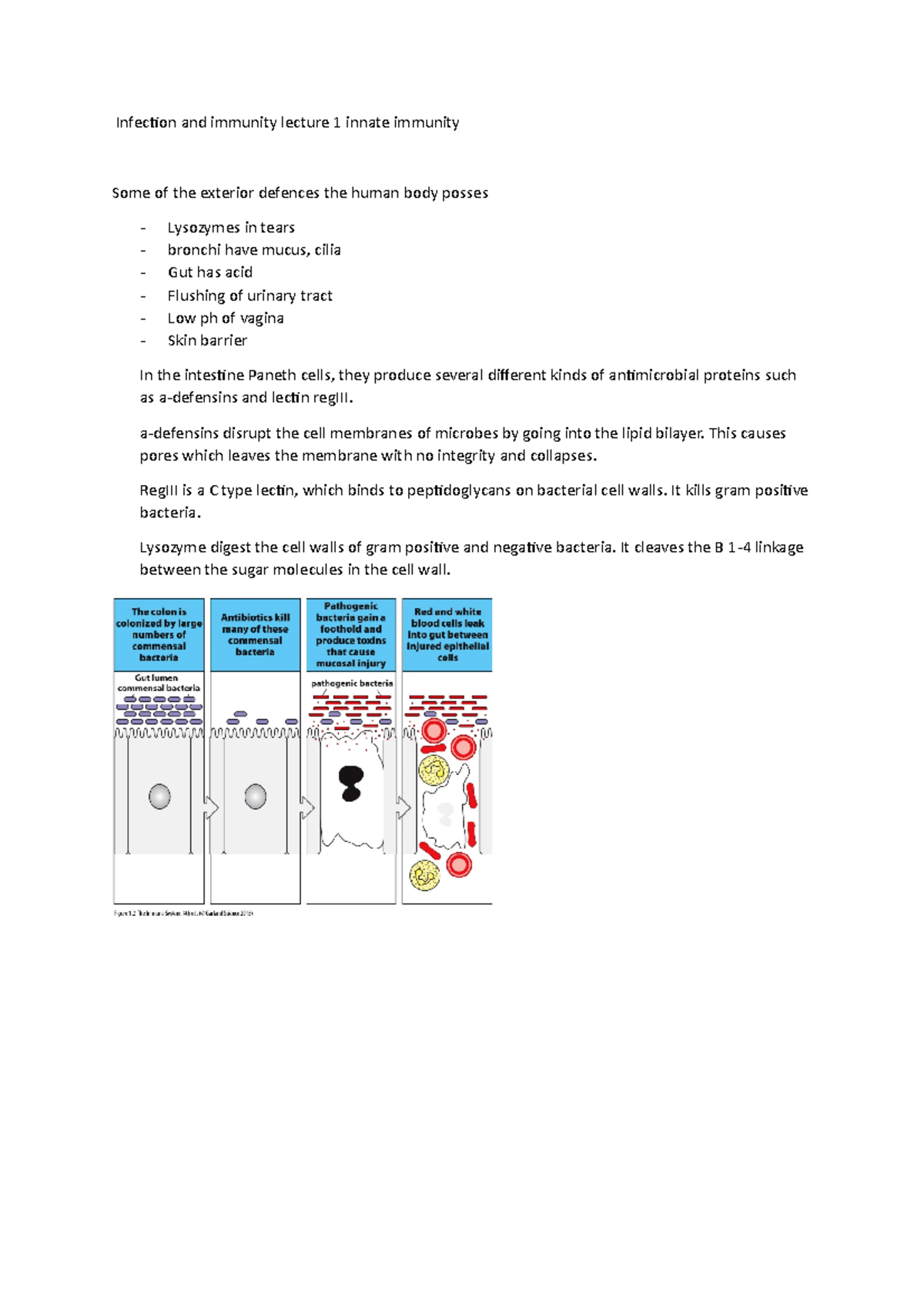 Infection And Immunity Lecture 1 Innate Immunity Infection And