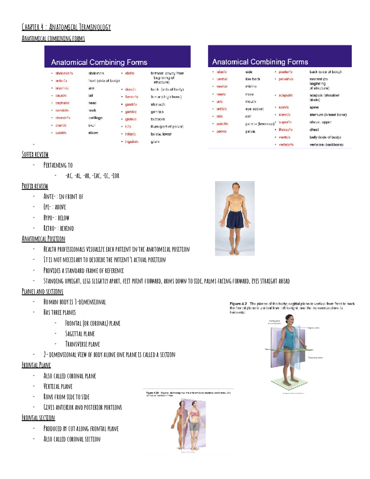 Med Term Notes Chapter 4 - Chapter 4 : Anatomical Terminology ...