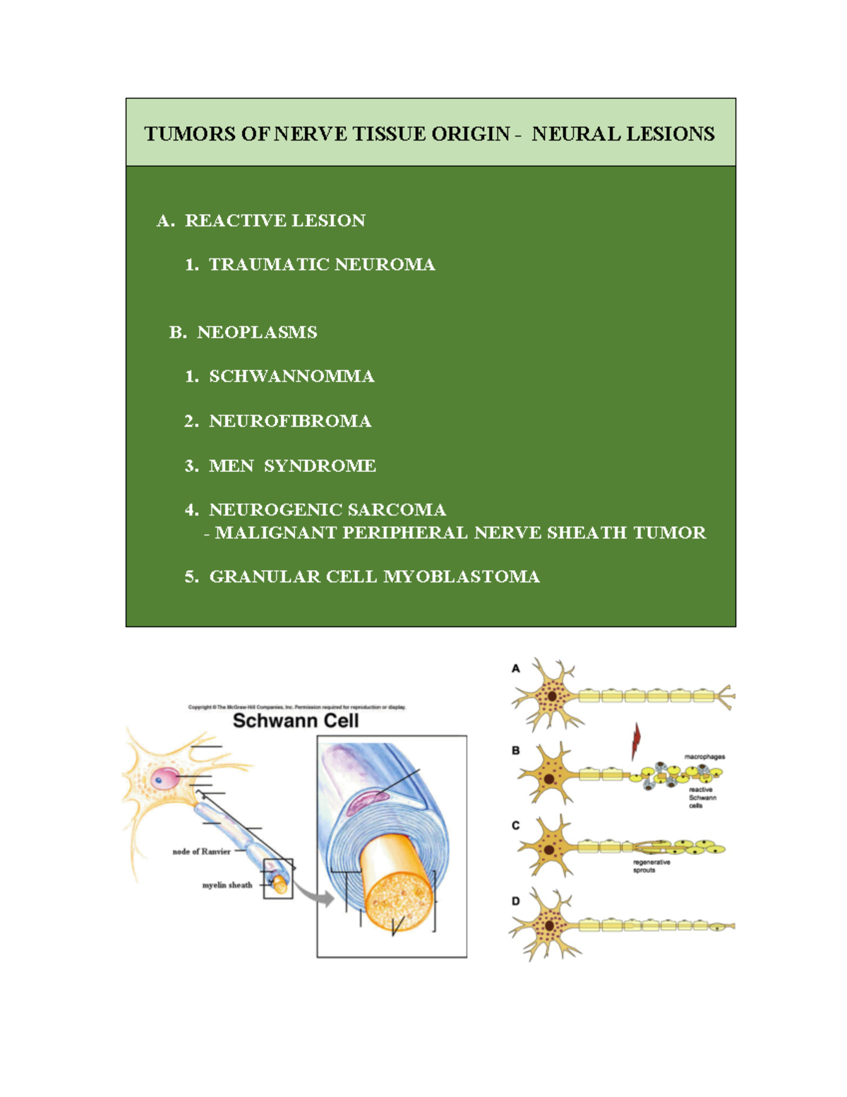 2022Nervous Tissue Origin - TUMORS OF NERVE TISSUE ORIGIN - NEURAL ...