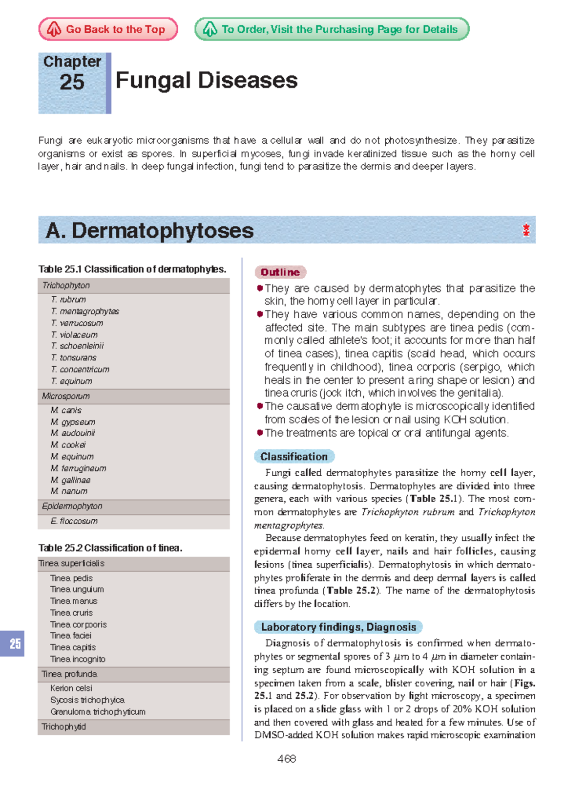 Fungi - Lecture notes 1-4 - 25 They are caused by dermatophytes that ...