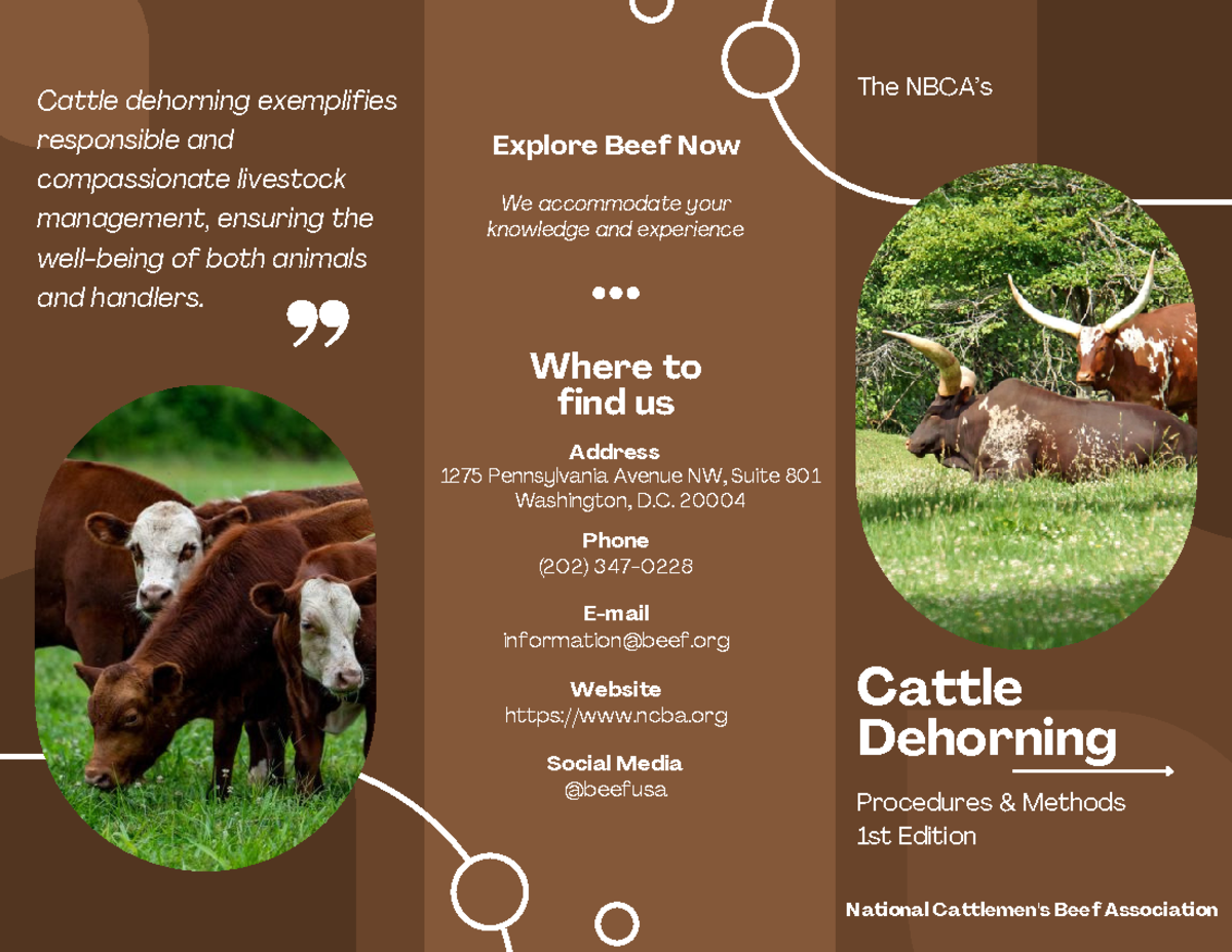 Hot Iron Dehorning - Cattle - Cattle Dehorning The NBCA’s Cattle dehorning exemplifies ...