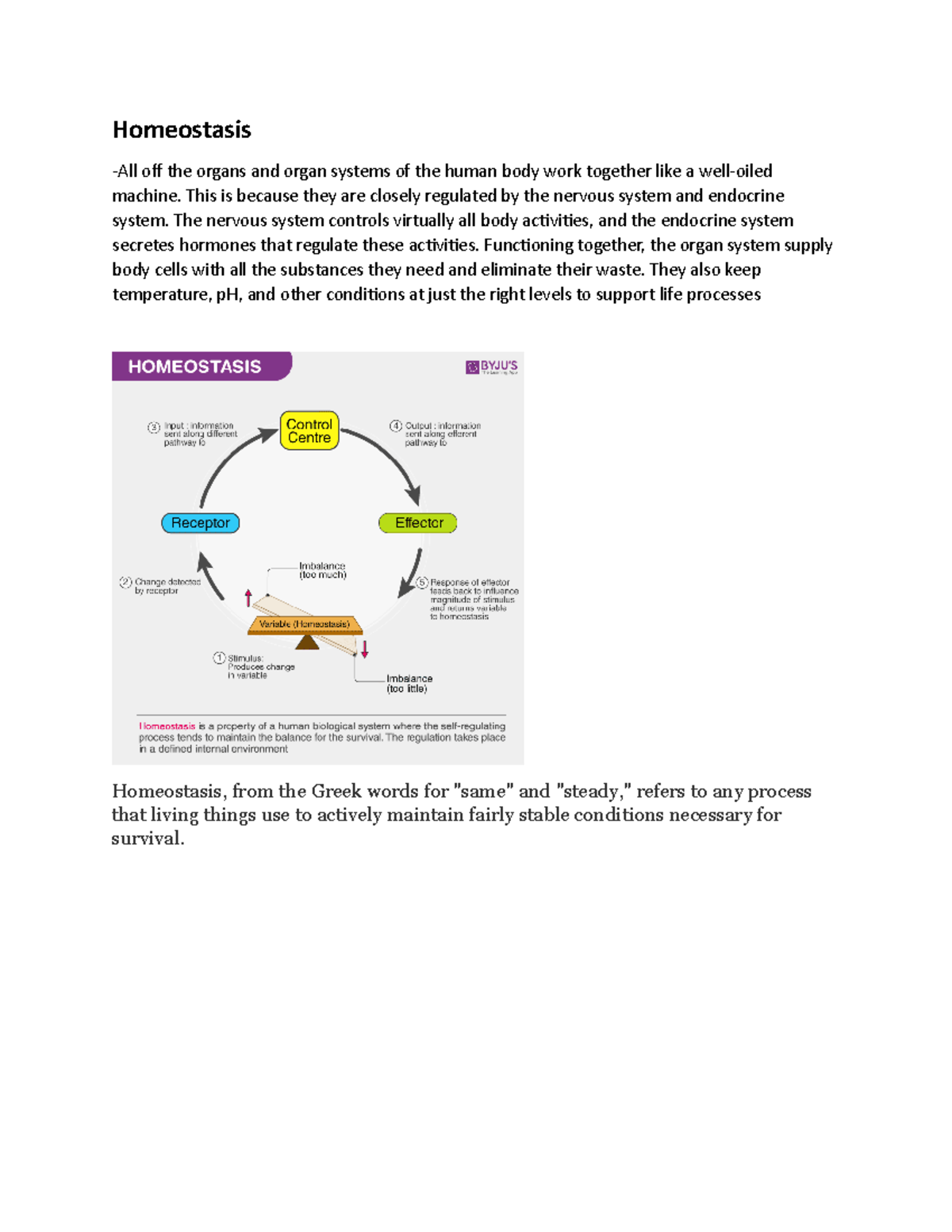 Homeostasis - This is because they are closely regulated the nervous ...