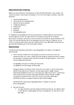 Antibody investigation - Antibody investigation Tracey Tomlinson Head ...