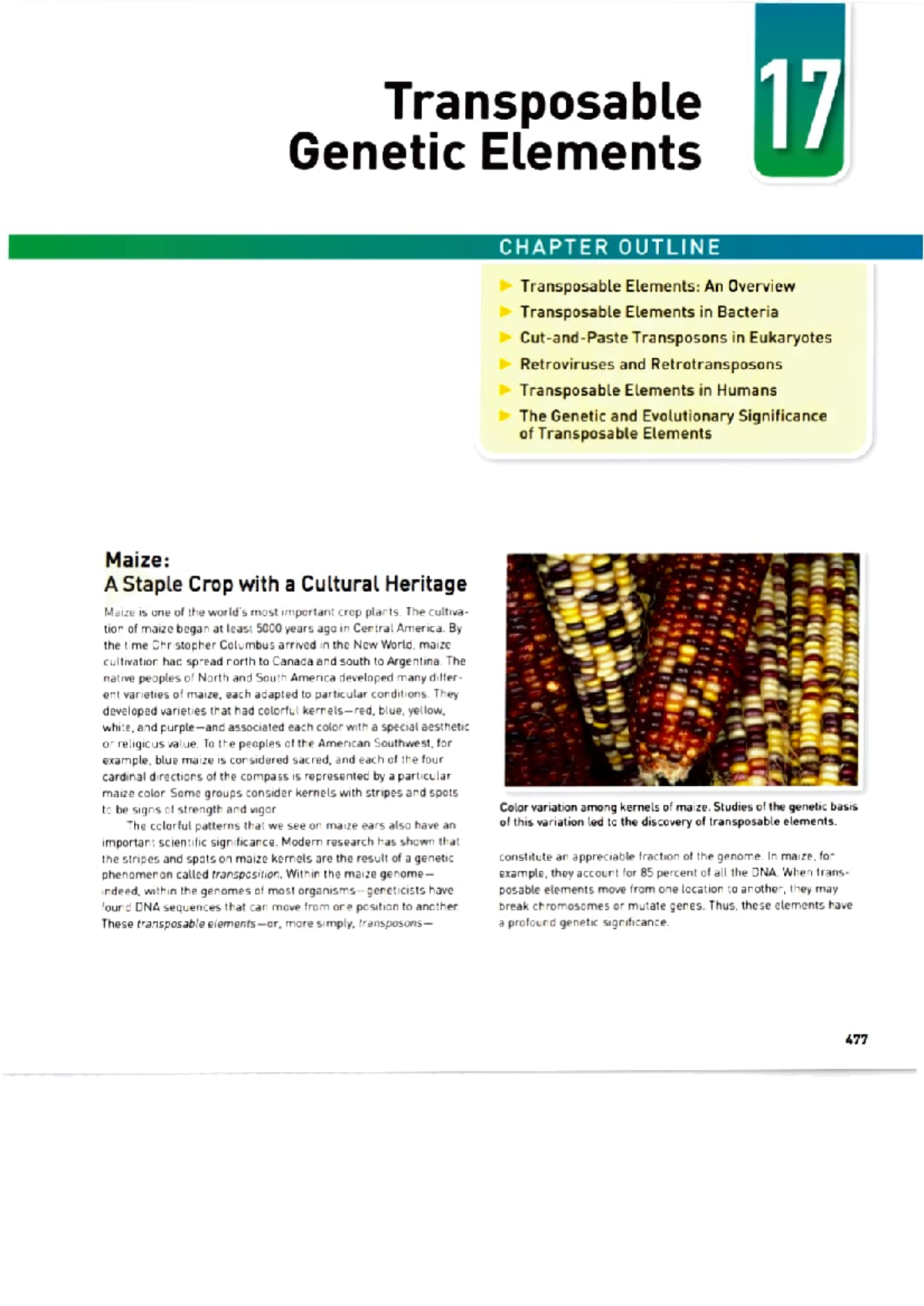 Transposable genetic elements snustad - Transposable Genetic Elements ...