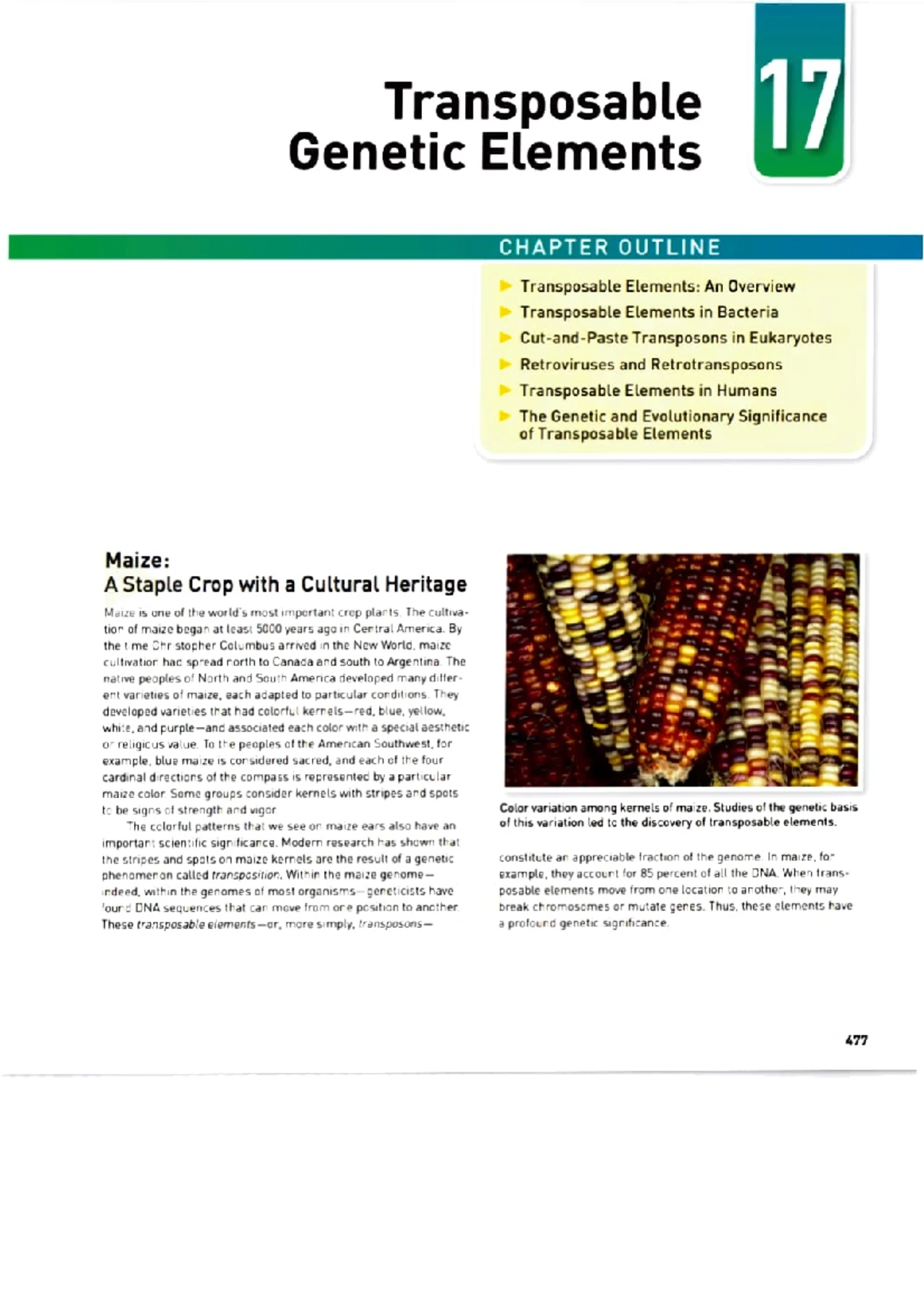 Oxidative and substrate level phosphorylation notes - Copy - Substrate ...