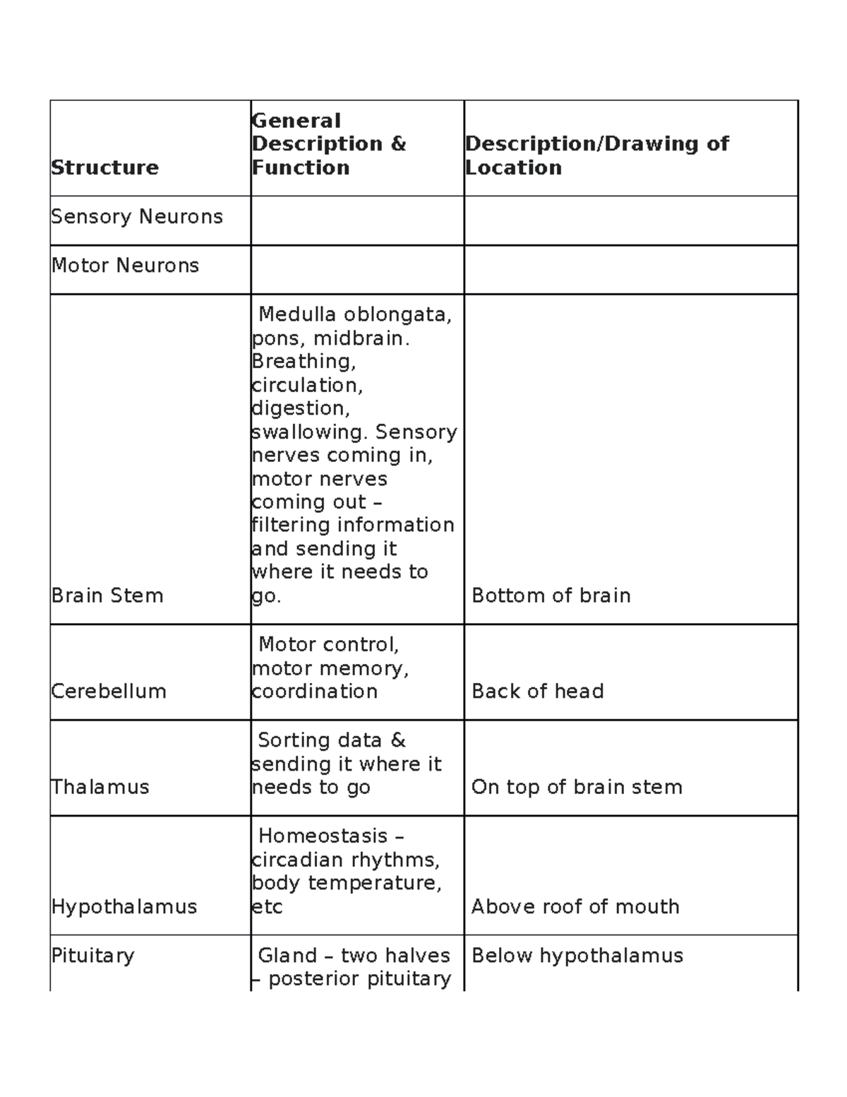 Brain structures and functions - Structure General Description ...