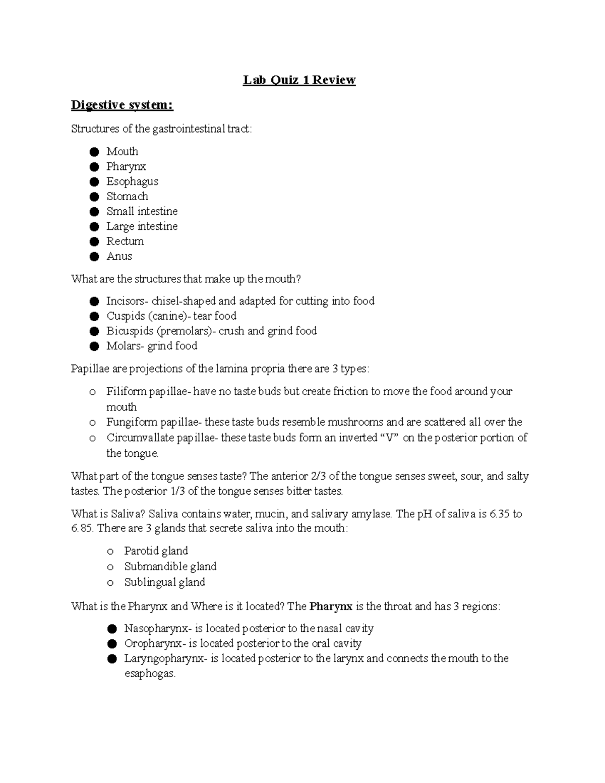 Digestive system lab quiz review - Lab Quiz 1 Review Digestive system ...