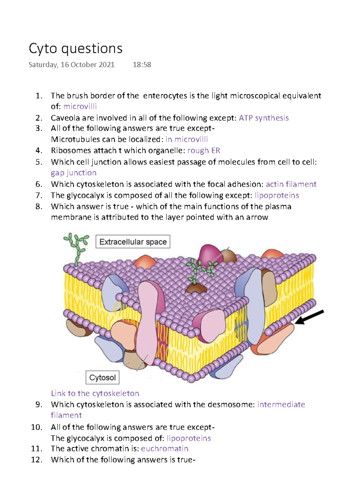 Cyto questions - Cytology - The brush border of the enterocytes is the ...