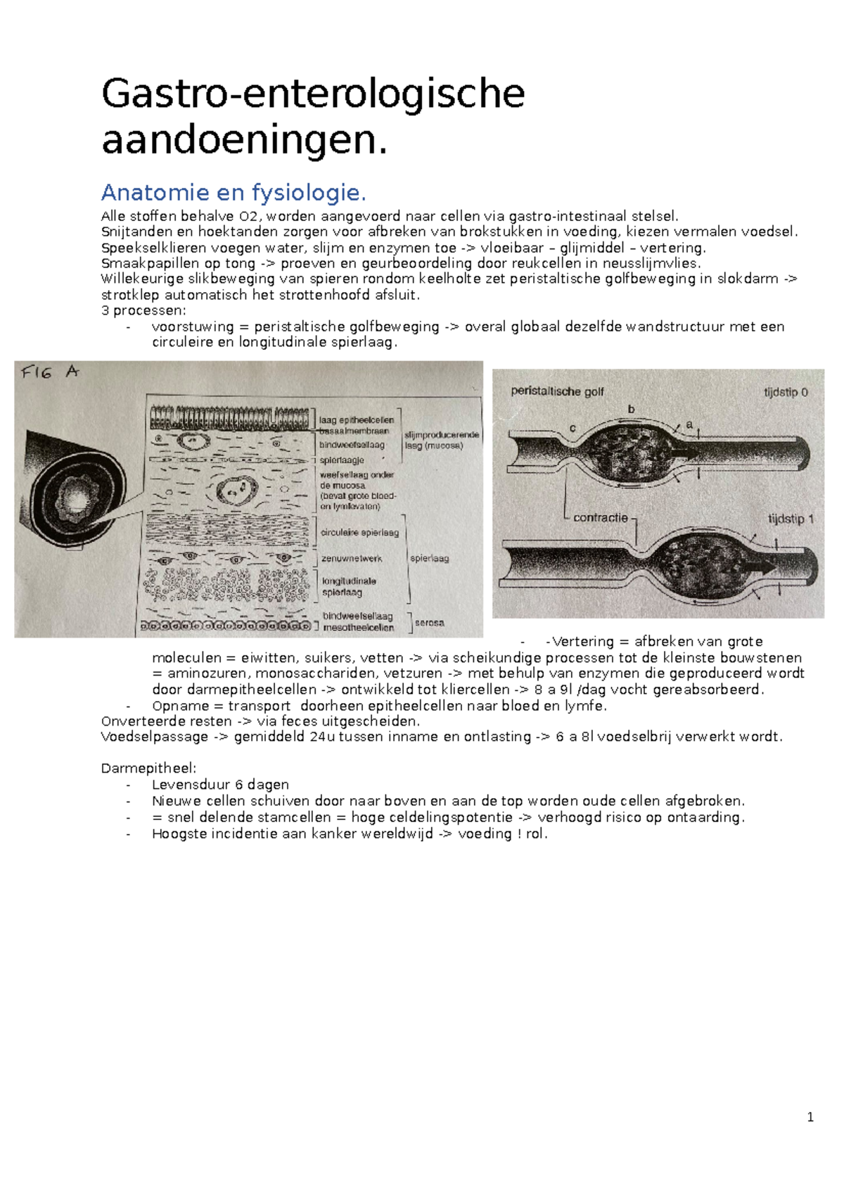 Hoofdstuk 2 gastro-entero - Gastro-enterologische aandoeningen ...