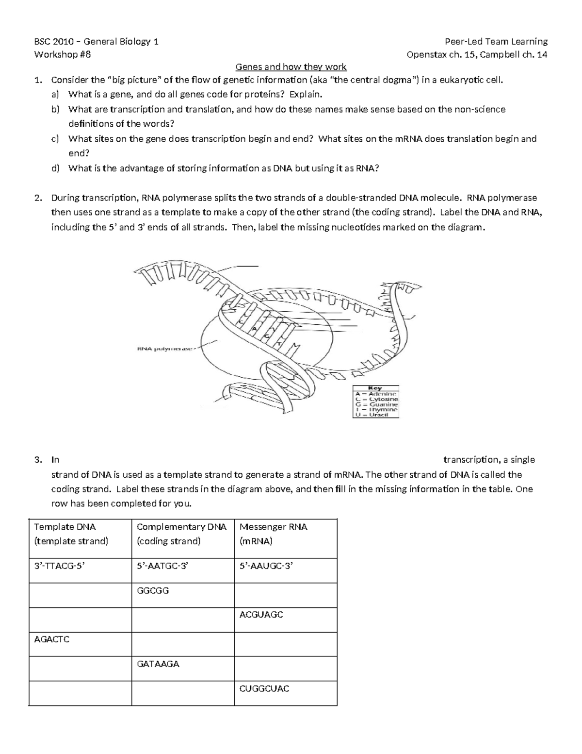 PLTL Worksheet- Week 8 - basically a breakdown of ptlt - BSC 2010 ...