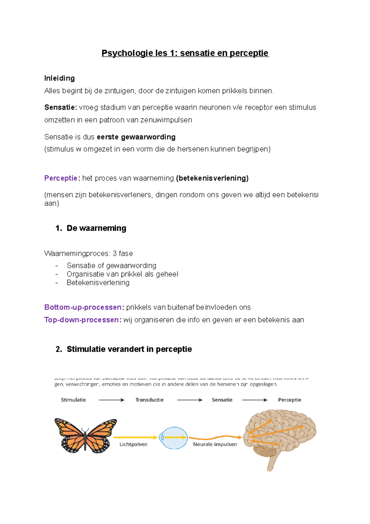 Psychologie sensatie - Psychologie les 1: sensatie en perceptie ...