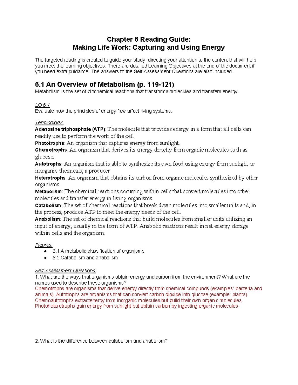 Ch 6 Reading Guide - Chapter 6 Reading Guide: Making Life Work ...