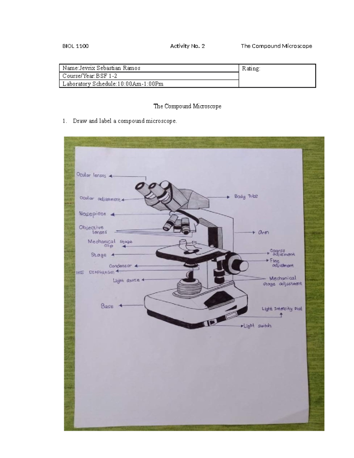 Activity 2-The Compound Microscope - Name:Jevrix Sebastian Ramos Rating ...
