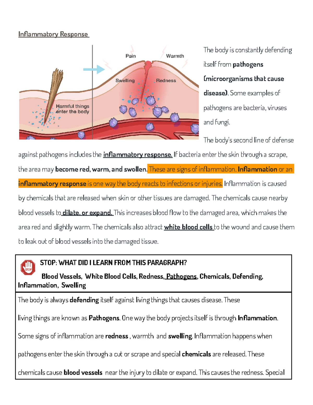 Study of Immunity protection - Inflammatory Response The body is ...