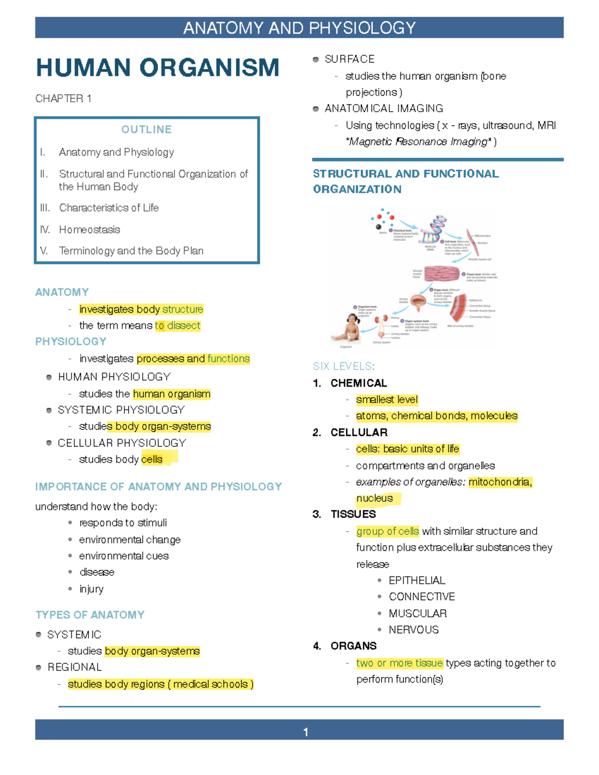 Anaphy- Chapter-1 - HUMAN ORGANISM CHAPTER 1 ANATOMY investigates body ...
