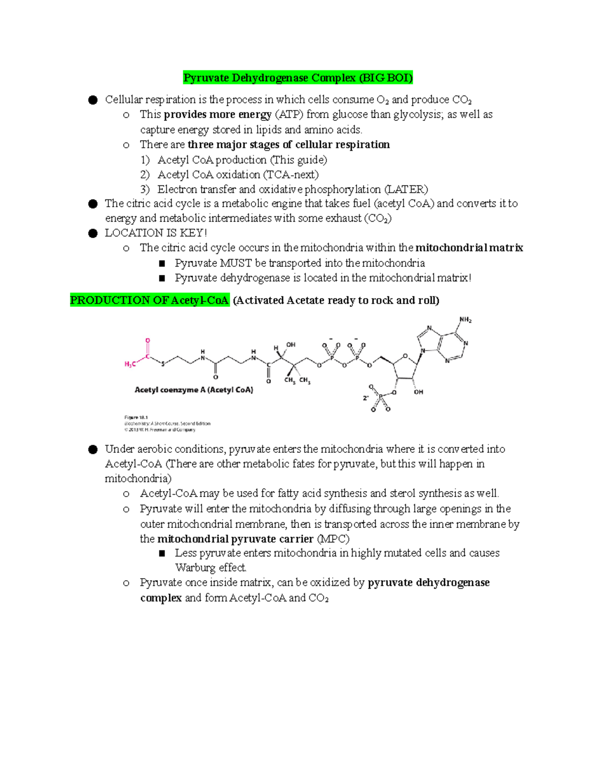 Copy of 13. Biochemistry PDH - Pyruvate Dehydrogenase Complex (BIG BOI ...