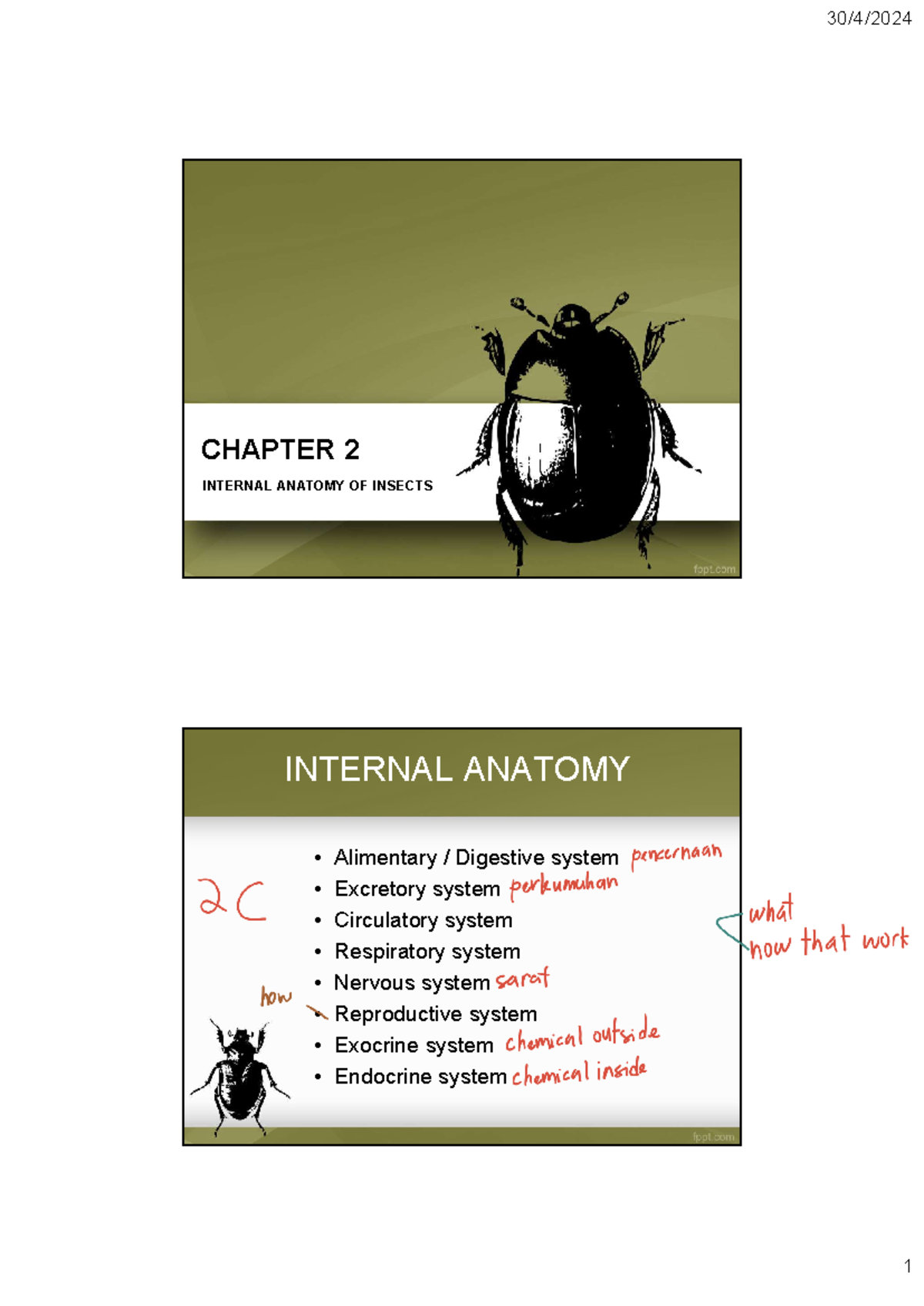 Chapter 2B - Morphology of Insects (Internal) 240508 123813 - CHAPTER 2 ...