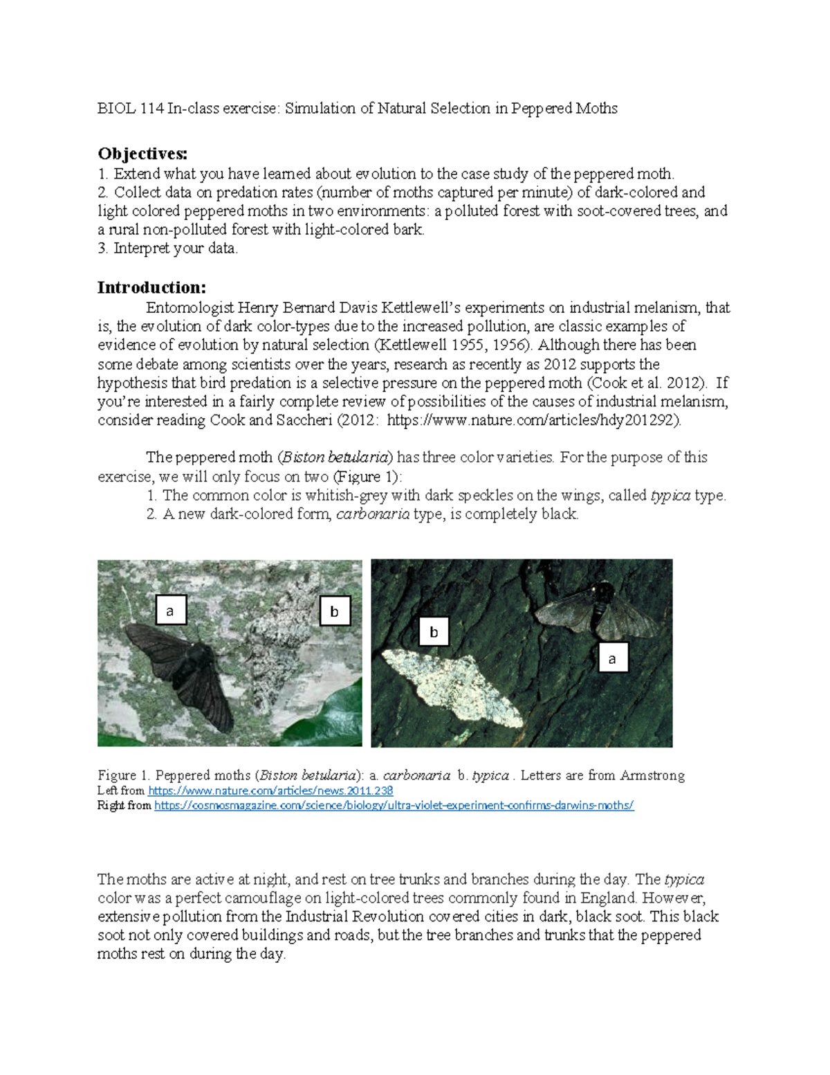 8-25 In-class assignment - simulation of nat sel of peppered moths ...